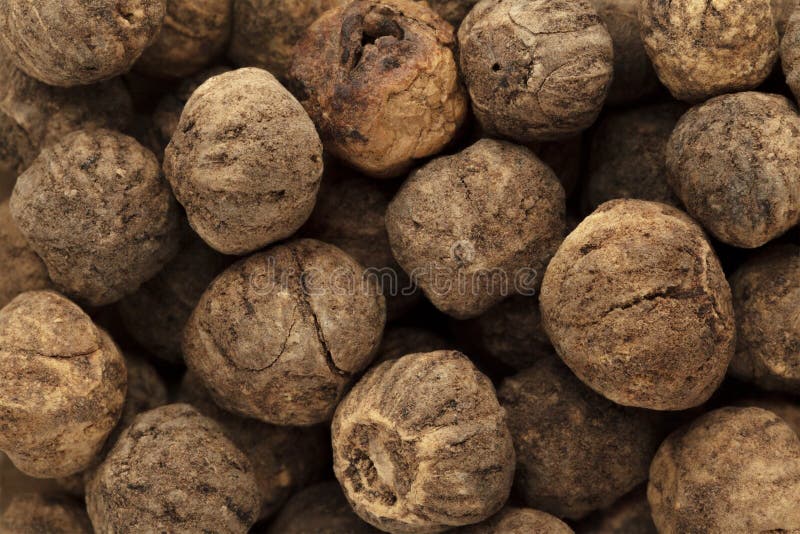 529 Teak Seed Stock Photos - Free & Royalty-Free Stock Photos from ...