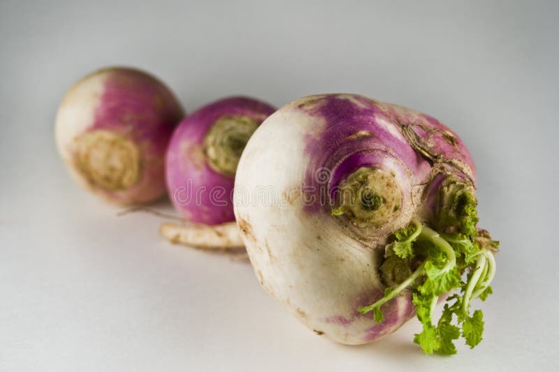 Organic Turnips stock photo. Image of crop, purple, healthy - 12903852