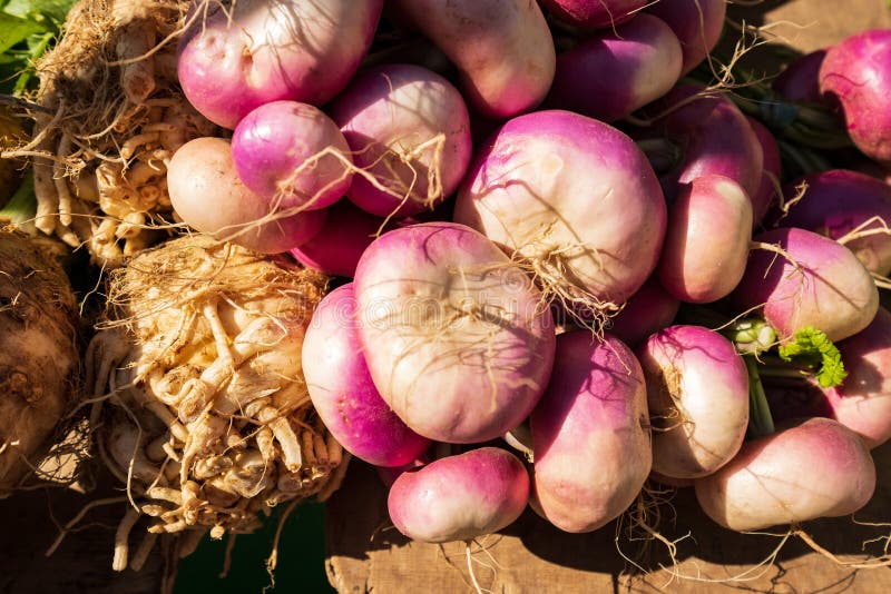 Organic Turnips at a Small Local Farmers Market Stock Image - Image of ...