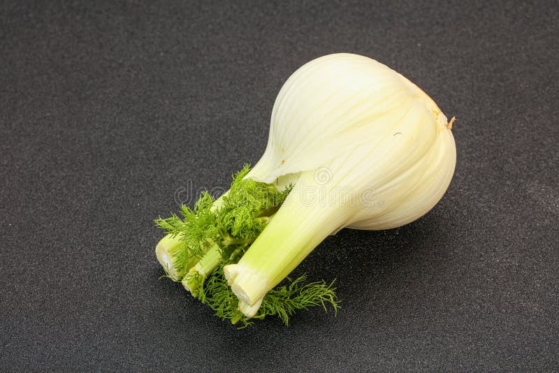 Organic Vegan Food - Fennel Root Stock Photo - Image of plant, vitamin ...