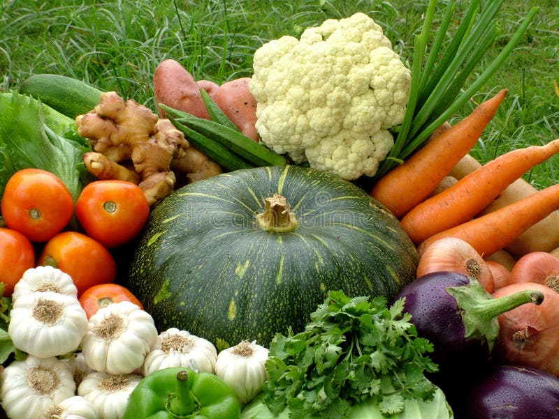 Organic vegetable basket stock photo. Image of tomato - 8059098