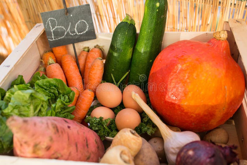 Organic vegetable basket stock image. Image of farming - 84747821