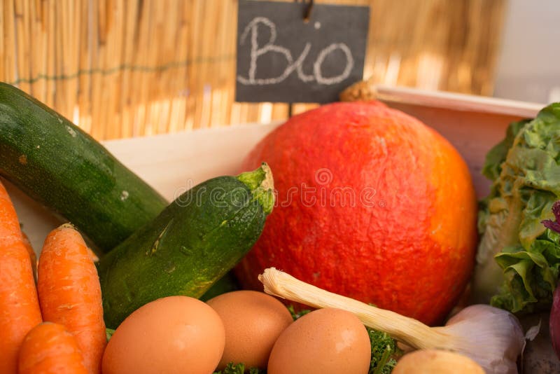 Organic vegetable basket stock photo. Image of good, garden - 84731348