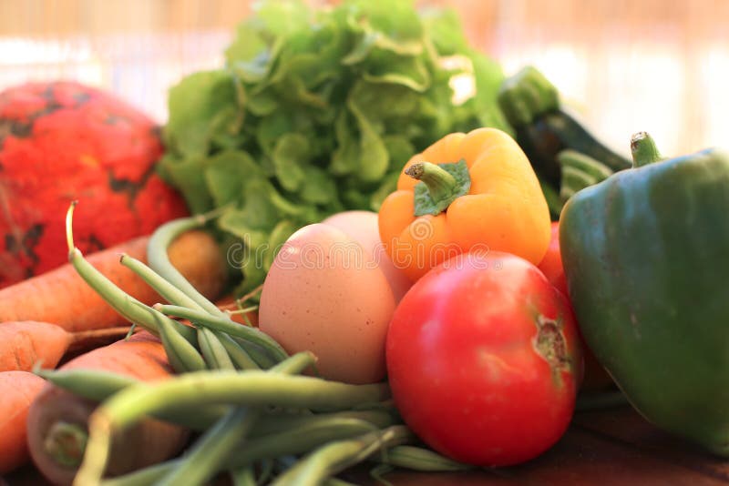 Organic vegetable basket stock photo. Image of ecological - 84732574
