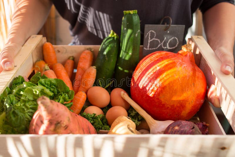 Organic vegetable basket stock photo. Image of basket - 84748388