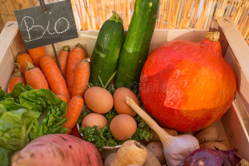 Organic vegetable basket stock photo. Image of good, food - 84749840