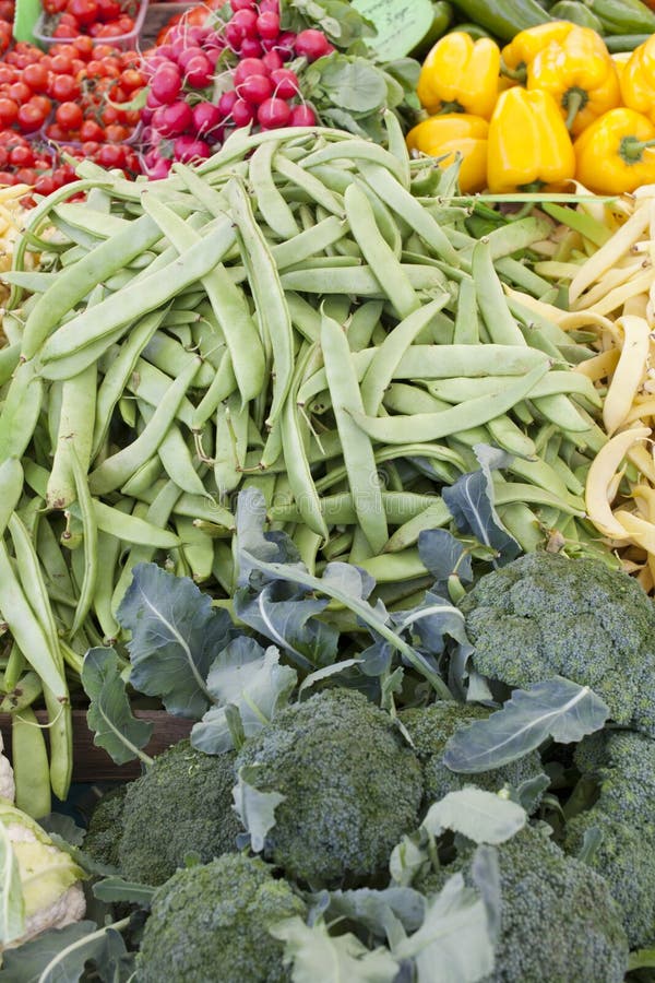 Organic Vegetable on Sunny Market Stock Image - Image of vegetable ...