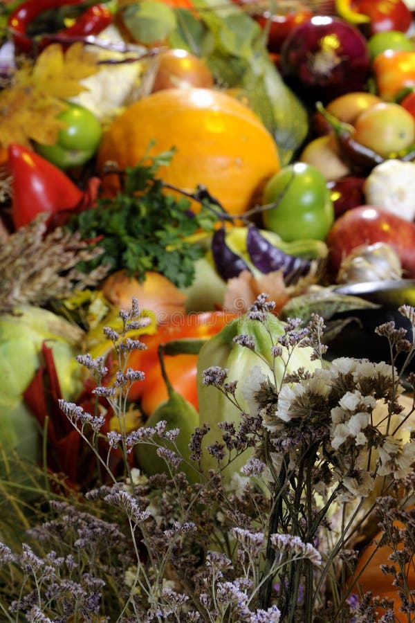 Organic vegetables stock photo. Image of autumn, agriculture - 11460706