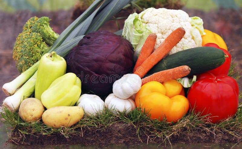Organic vegetables stock photo. Image of vegetarian, healthy - 14779770