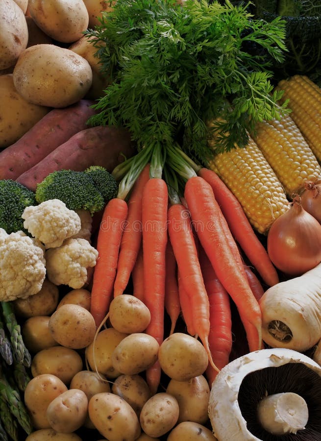 Organic vegetables stock image. Image of vegetable, cabbage - 1821933