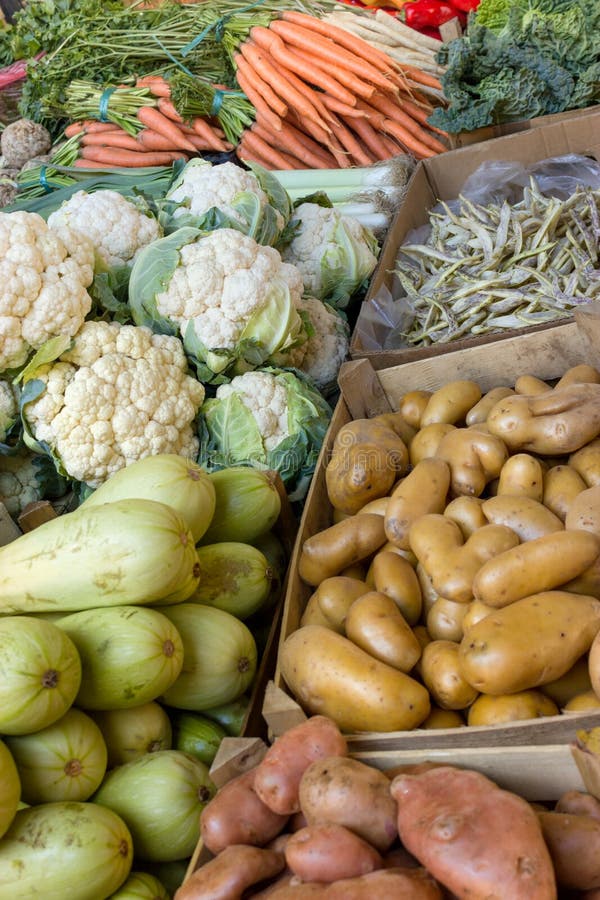 Organic vegetables stock photo. Image of potato, beans - 28217526