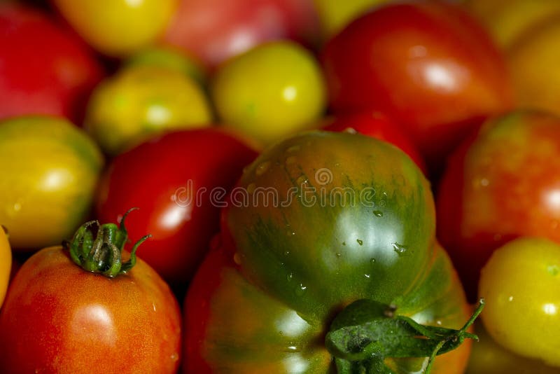Organic Vegetables Tomatoes, Texture of Tomatoes Stock Photo - Image of ...
