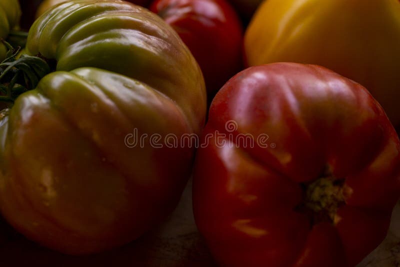 Organic Vegetables Tomatoes, Texture of Tomatoes of Different Colors ...