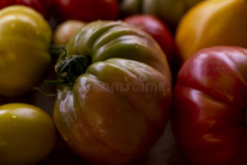 Organic Vegetables Tomatoes, Texture of Tomatoes of Different Colors ...