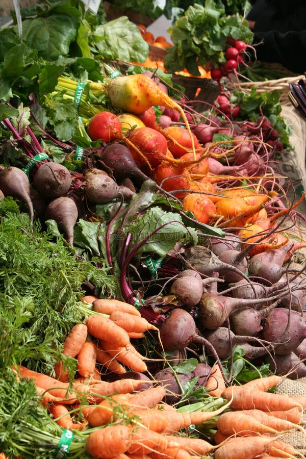 Organic veggies stock photo. Image of herbaceous, garden - 2255706