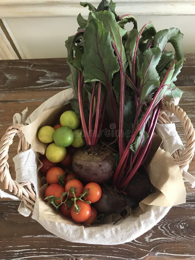 Organic veggies stock photo. Image of herbaceous, garden - 2255706