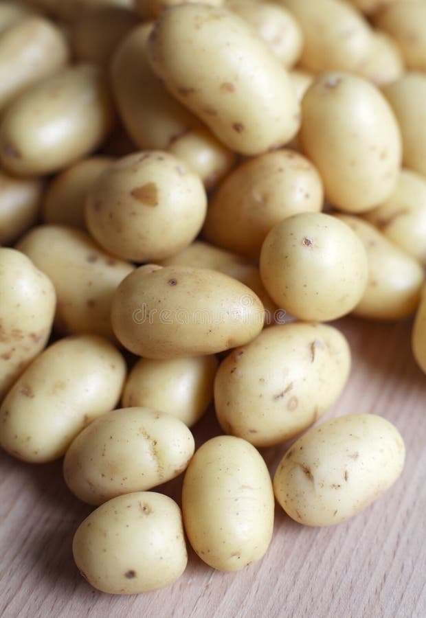 Organic Vivaldi New Potatoes Stock Photo - Image of soil, ingredient ...