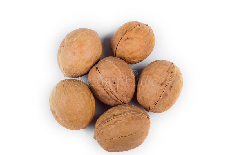 Organic Walnuts Isolated on White Background Stock Image - Image of ...