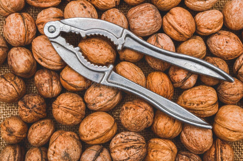 Organic Walnuts with Nut Cracker on Sackcloth Stock Photo - Image of ...