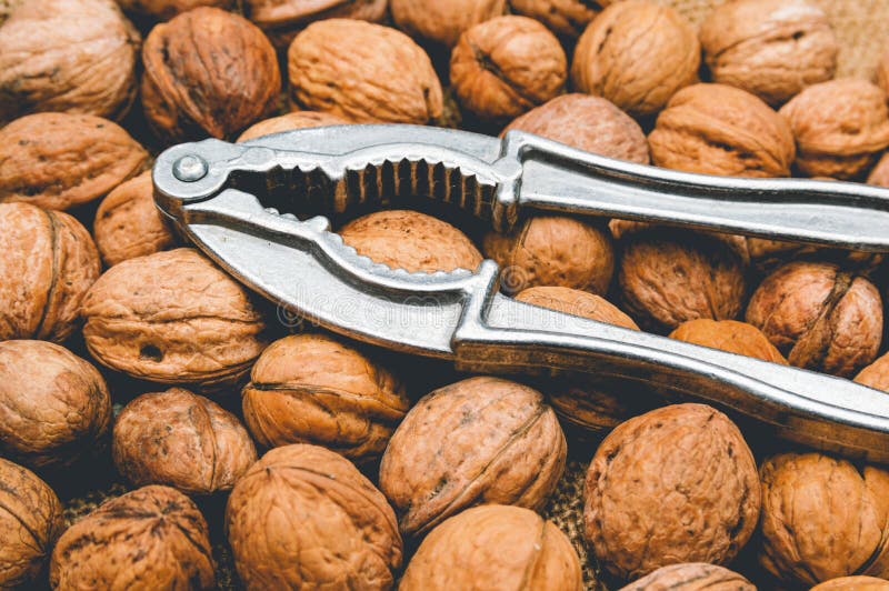 Organic Walnuts with Nut Cracker on Sackcloth Stock Image - Image of ...