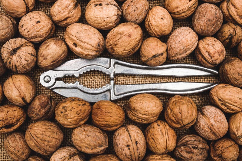 Organic Walnuts with Nut Cracker on Sackcloth Stock Image - Image of ...