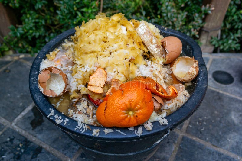 Organic Waste in a Bucket on the Terrace Stock Image - Image of ...