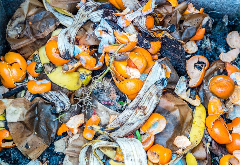 Organic Waste on the Compost Stock Photo - Image of colorful, panorama ...