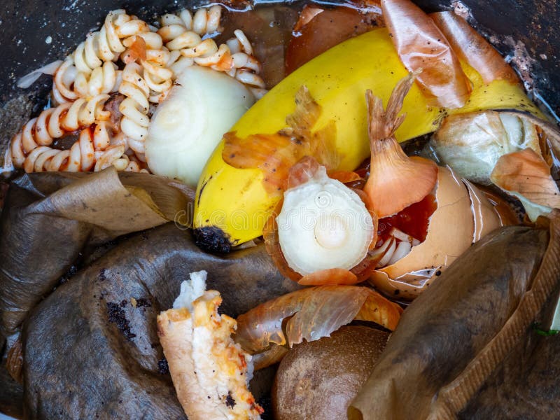 Organic Waste on the Compost in the Garden Stock Photo - Image of ...