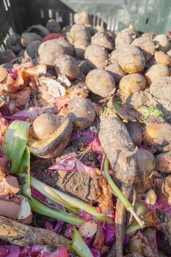 Organic Waste Compost Pile with Eggshells and Vegetable Scraps ...