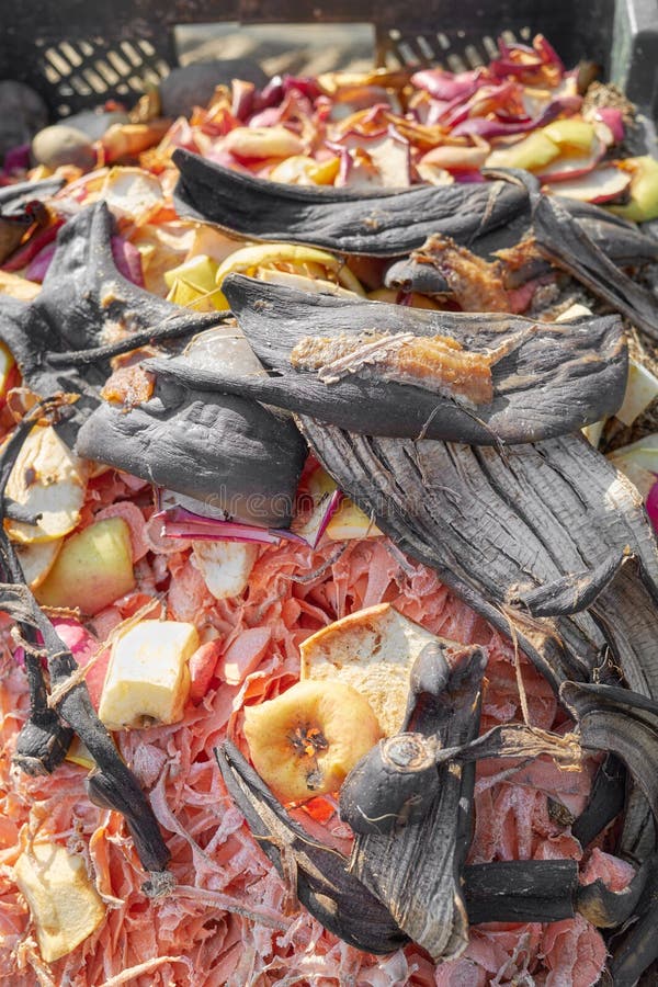 Organic Waste Compost Pile with Fruits and Vegetable Scraps, Selective ...