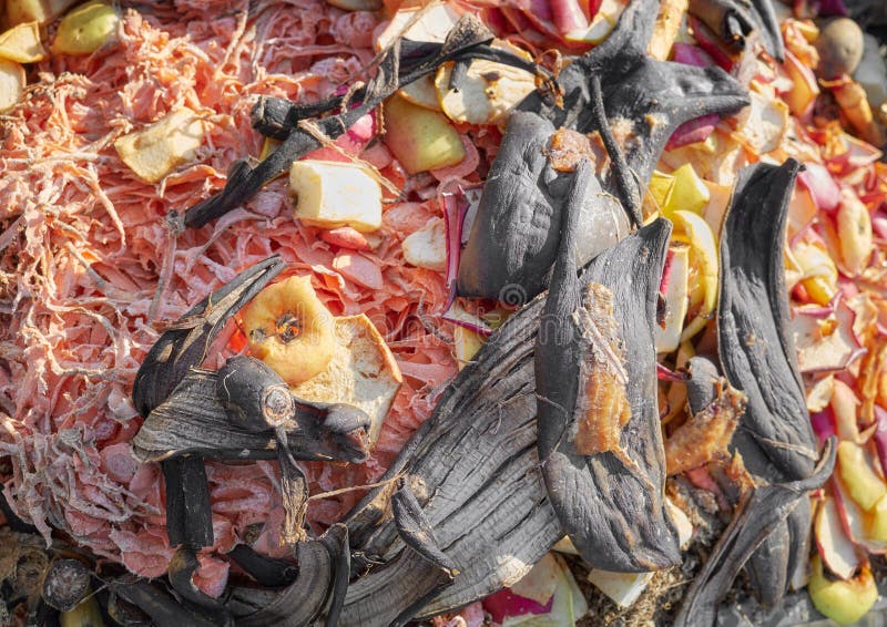 Organic Waste Compost Pile with Fruits and Vegetable Scraps, Selective ...