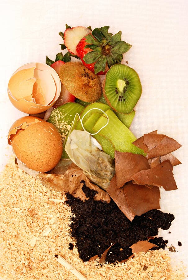 Organic Waste for Compost on White Stock Photo - Image of textures ...