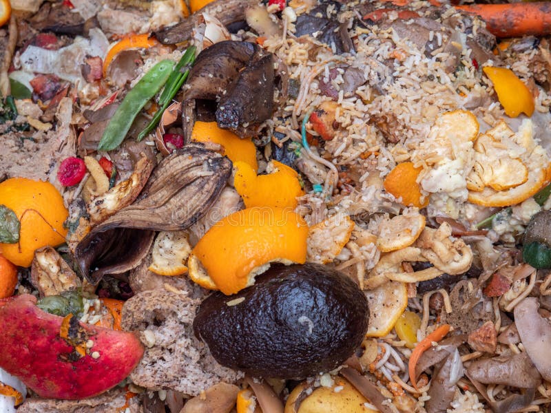 Organic Waste in the Composter Stock Image - Image of fruit ...