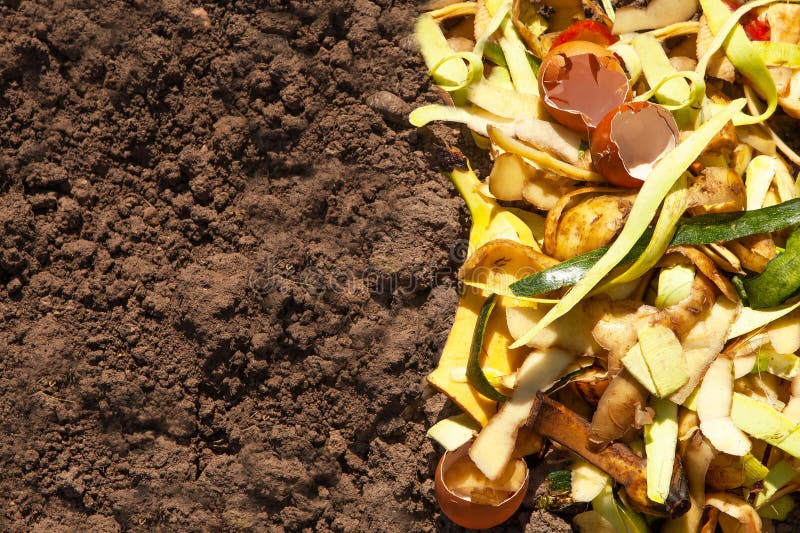 Organic Waste for Composting on the Soil. Stock Image - Image of ...
