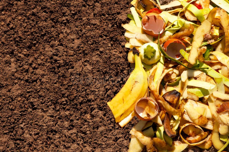 Organic Waste for Composting on the Soil. Stock Image - Image of dump ...