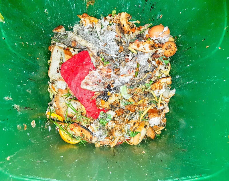 Fruit Dustbin Stock Photos - Free & Royalty-Free Stock Photos from ...