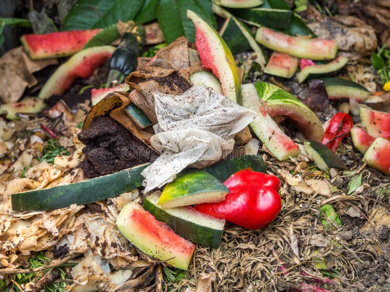 Organic Waste in the Garden on the Compost Stock Image - Image of heap ...