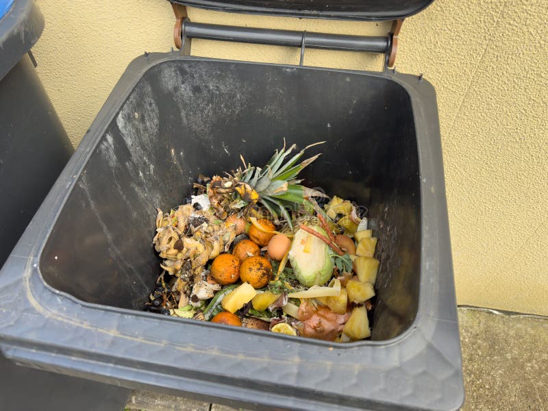Organic Waste and Household Waste from a Brown Waste Bin Stock ...