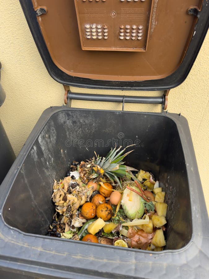 Organic Waste and Household Waste from a Brown Waste Bin Vertical Stock ...