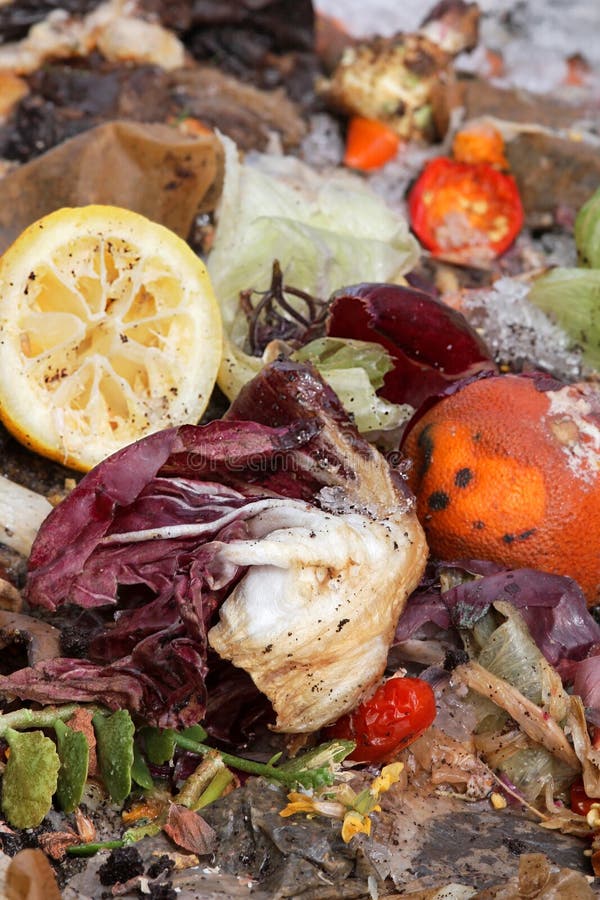 Organic waste stock photo. Image of away, organic, insects - 30322692