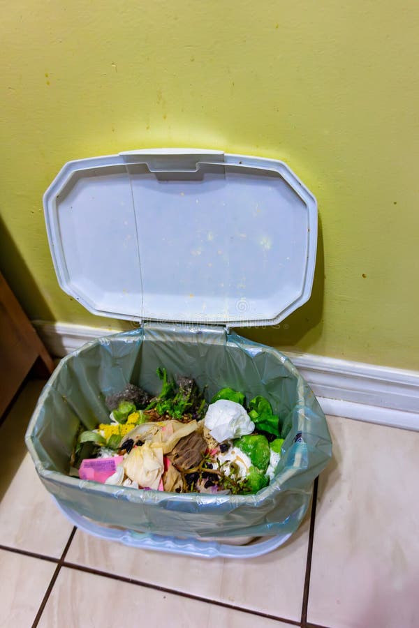 Organic Waste in a Recycle Bin on a Kitchen Floor Stock Image - Image ...