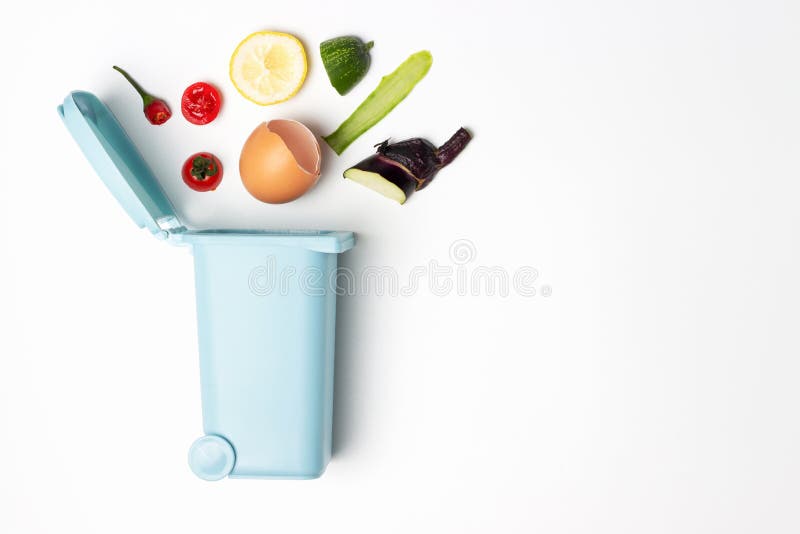 Organic Waste and Trash Can on White Background Close-up, Top View ...