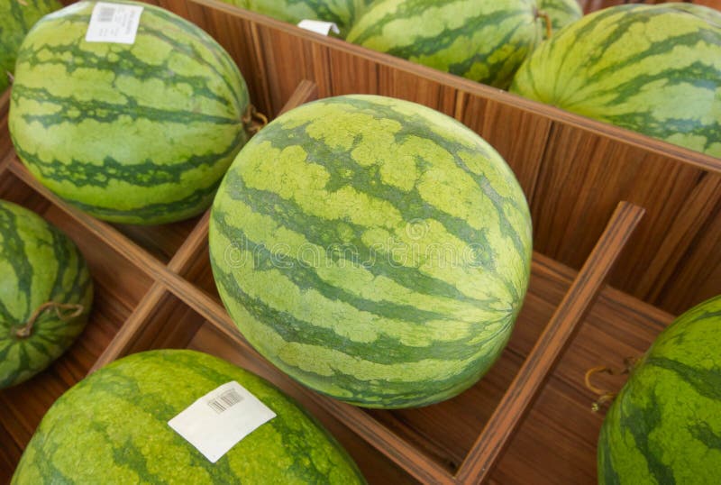 Organic watermelon stock image. Image of market, watermelon - 88001201