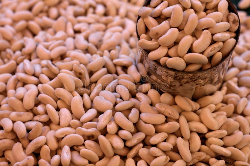 Organic White Beans Vegetable for Sale in Market Stock Photo - Image of ...