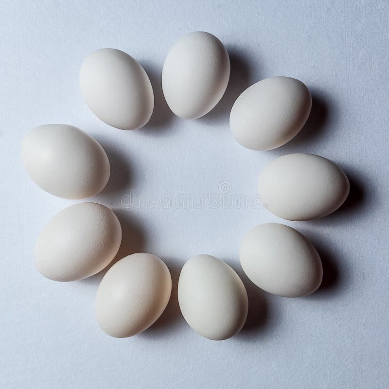 Organic White Eggs on White Backgound. Stock Photo - Image of organic ...