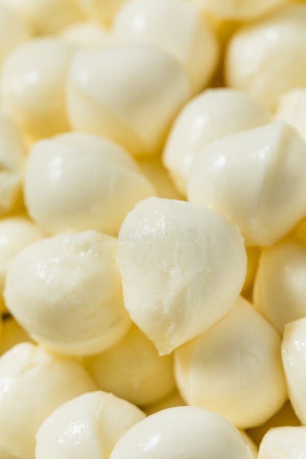 Organic White Mozzarella Pearls Cheese Stock Image - Image of product ...