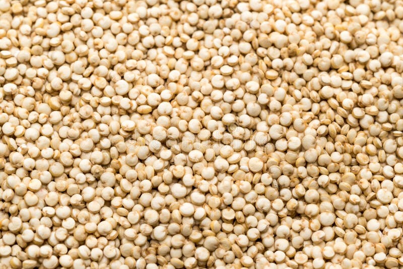 White Pearl Quinoa in a Ceramic Bowl Stock Image - Image of healthy ...