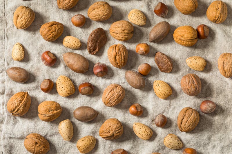 Organic Whole Assorted Nuts Stock Photo - Image of brazil, dried: 378328000