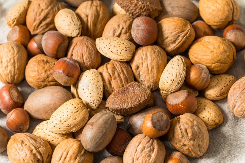 Organic Whole Assorted Nuts Stock Image - Image of drink, vegetarian ...