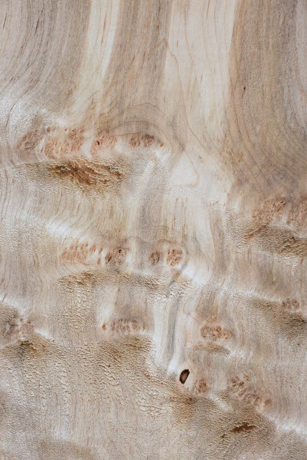 251 Balsa Wood Texture Stock Photos - Free & Royalty-Free Stock Photos ...